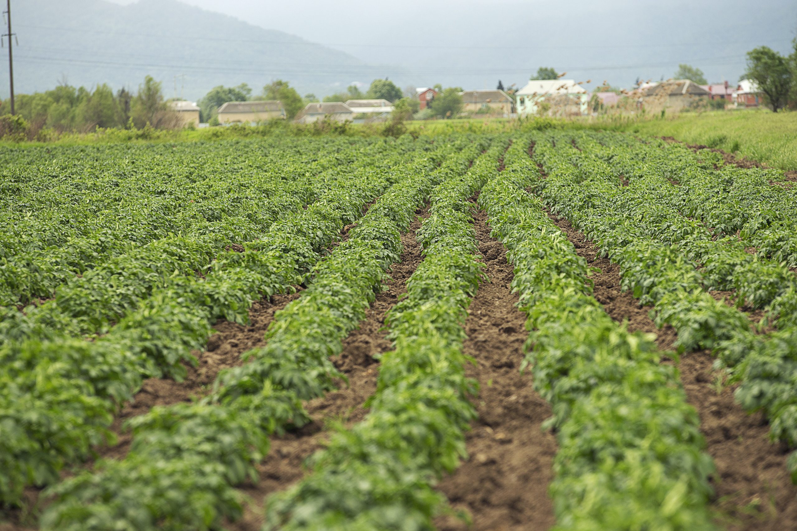 The Clarebout Family: A Belgian Entrepreneurial Dynasty, 800,000 Tons ...