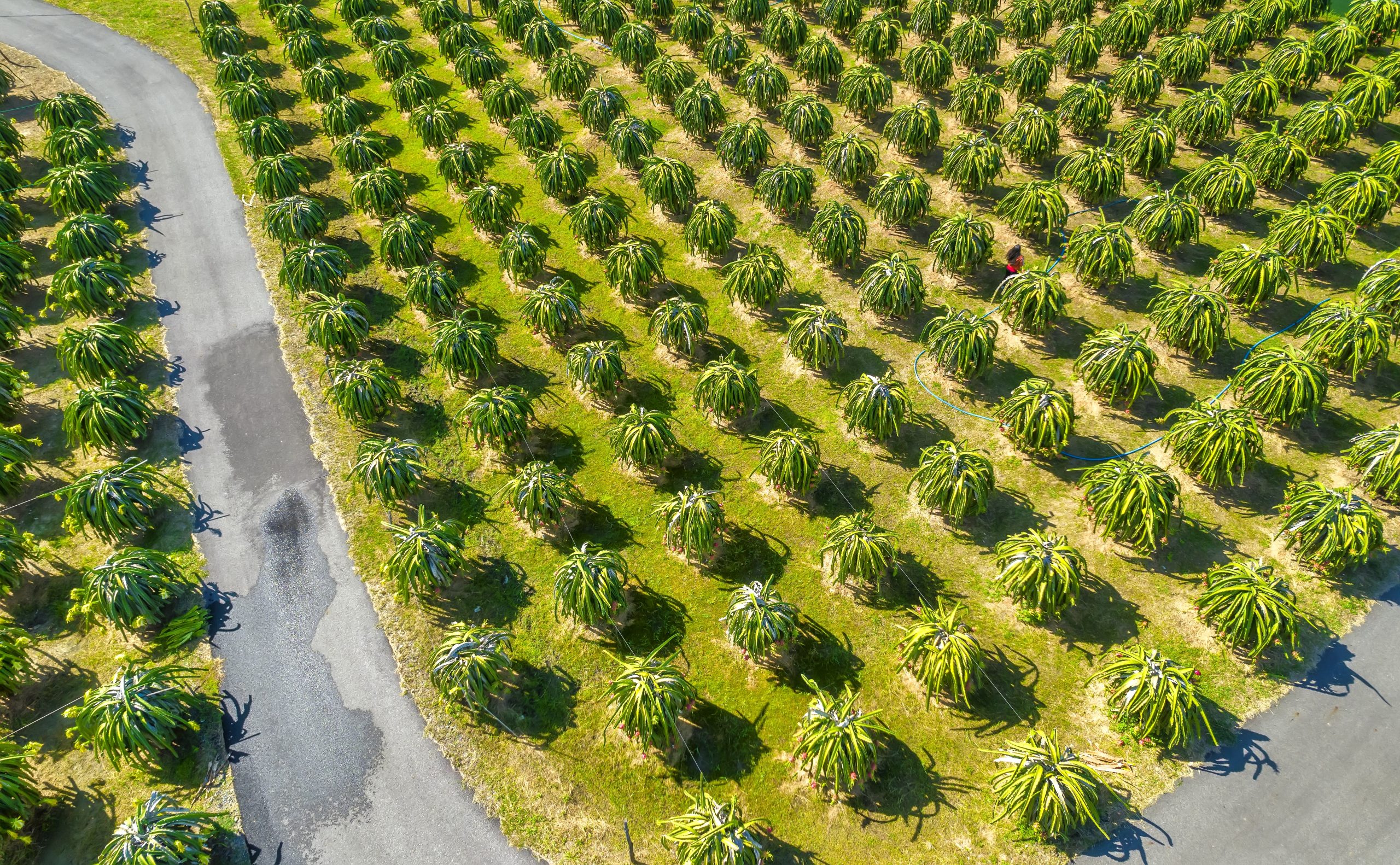 La Dynastie Fabri: Une Influence Majeure Et Controversée Avec Une ...
