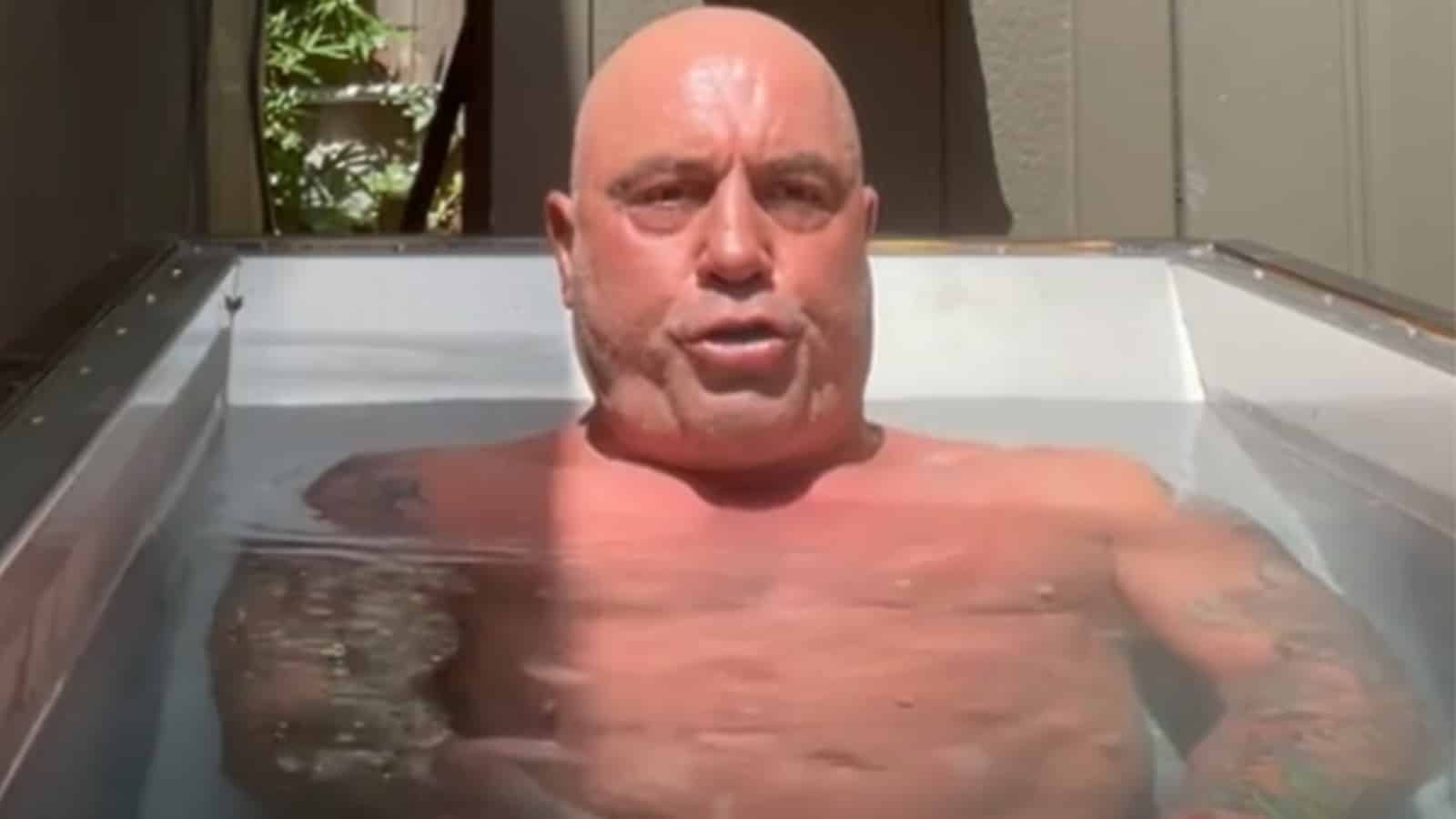 Routine Quotidienne De Joe Rogan : Secrets De Sa Discipline Et De Sa ...