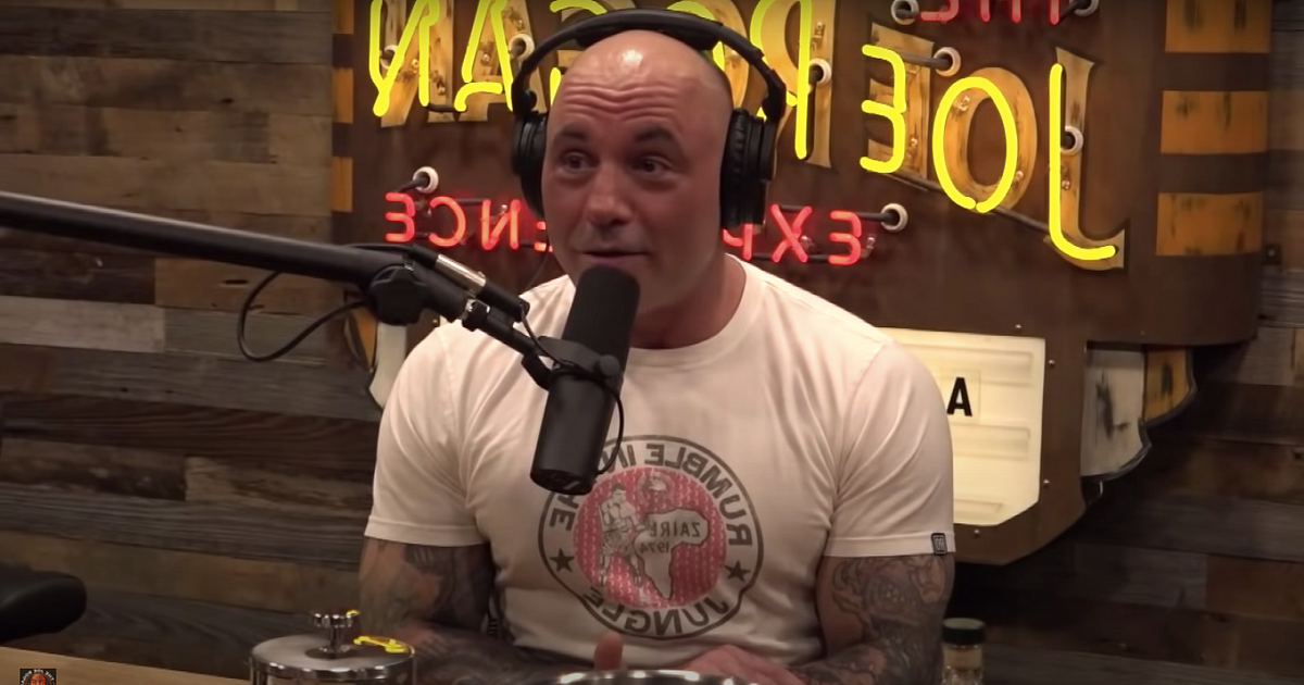 Routine Quotidienne De Joe Rogan : Secrets De Sa Discipline Et De Sa ...